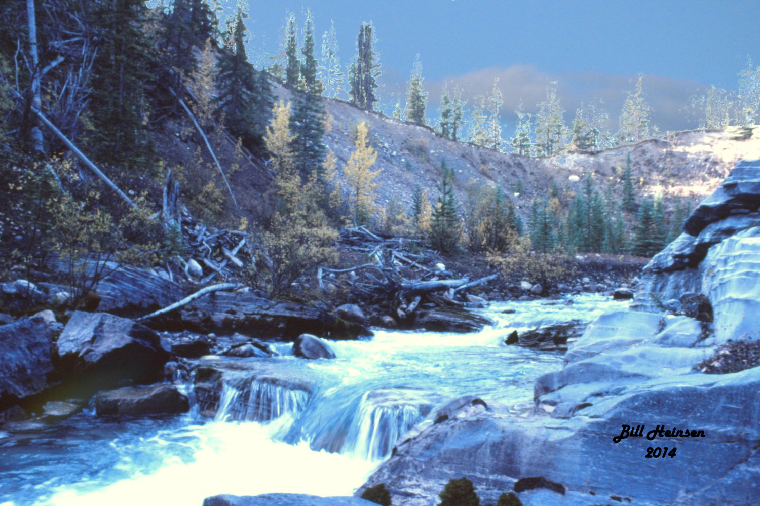 Upper River | Red Deer River Naturalists