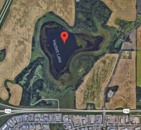 Hazlett Lake | Red Deer River Naturalists