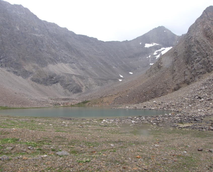 Upper River | Red Deer River Naturalists